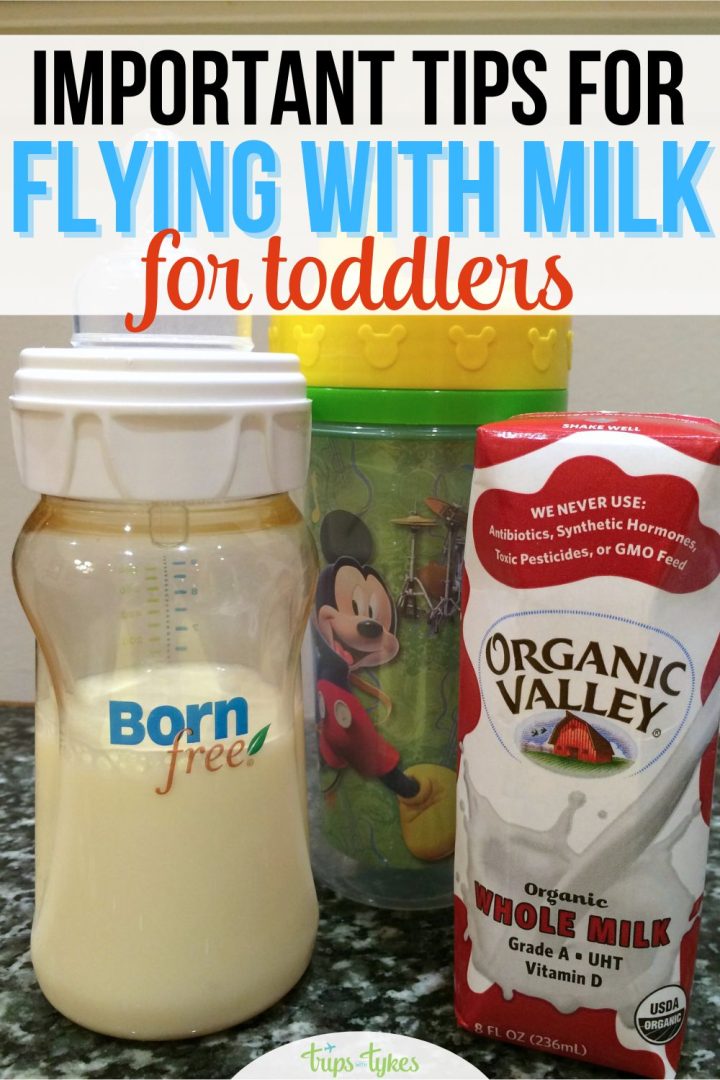 Air Travel with Toddlers and Milk - Trips With Tykes