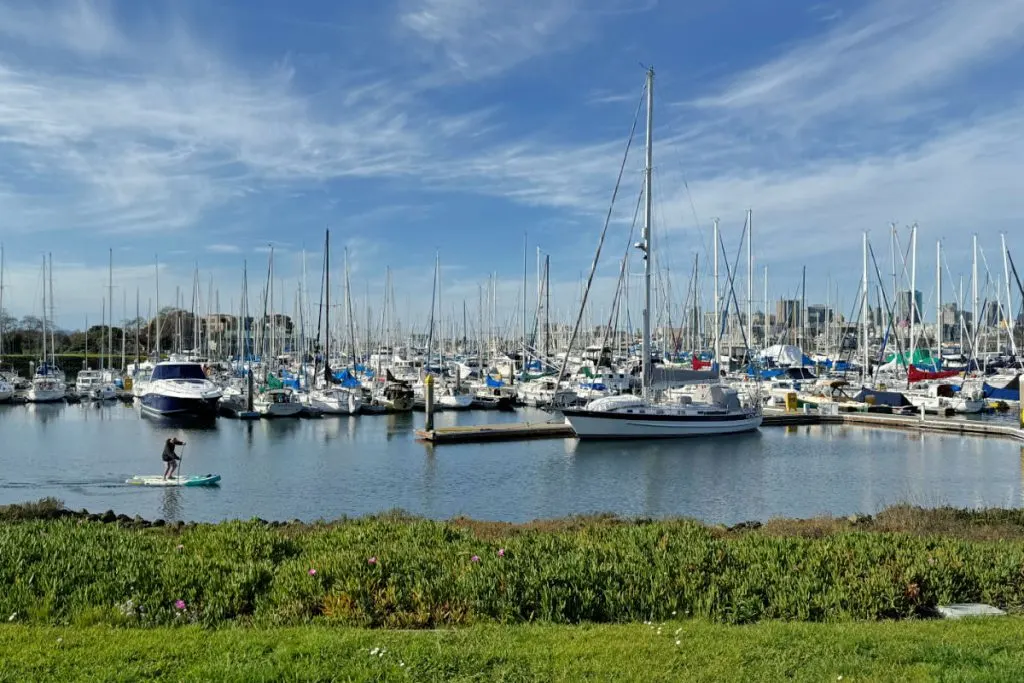 50+ Things To Do in Alameda, California with Kids - Trips With Tykes