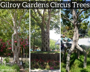 Gilroy Gardens Review & Tips: The Best Little Theme Park You've ...