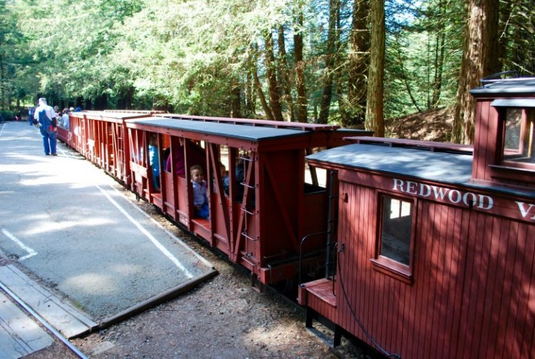 Complete Guide to Train Rides & Attractions in Northern California ...