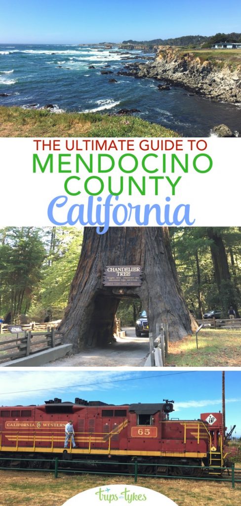 California's Mendocino County with Kids: The Comprehensive Guide ...