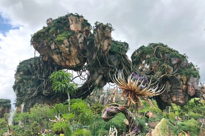 How to Ride Avatar Flight of Passage Without the Wait - Trips With Tykes