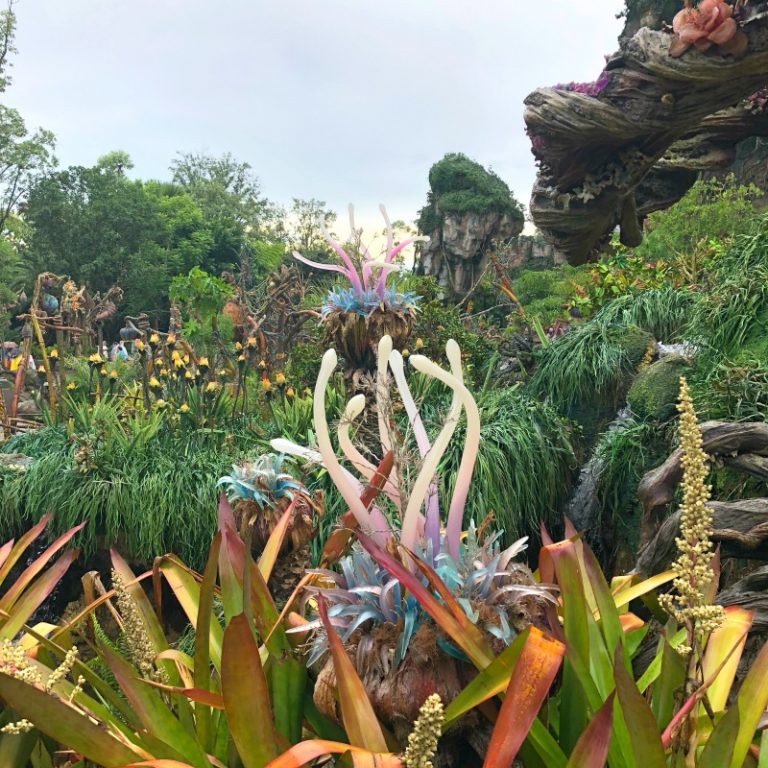How to Ride Avatar Flight of Passage Without the Wait - Trips With Tykes