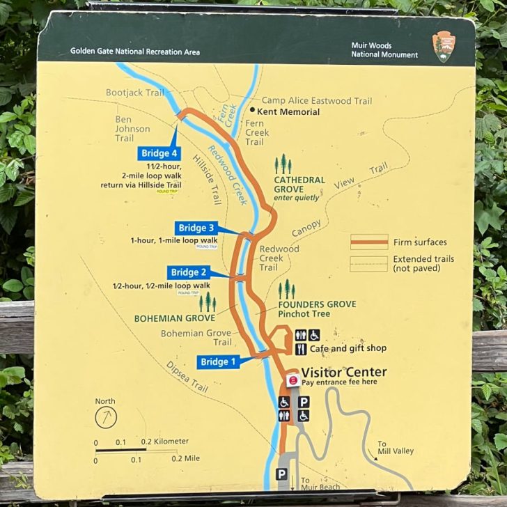 Tips for Visiting Muir Woods National Monument - Trips With Tykes