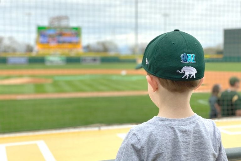 Arizona Spring Training 2024: Tips for Cactus League Baseball - Trips ...