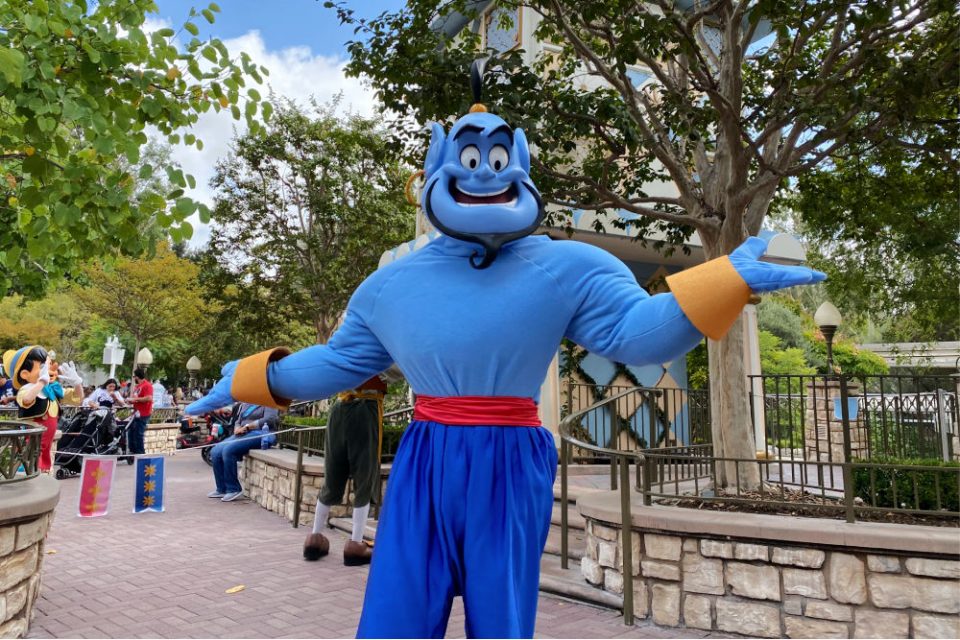 Disney Genie+ & Lightning Lane at Disneyland: 17 Frequently Asked ...