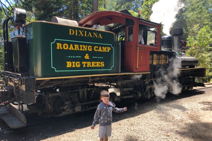 Complete Guide to Train Rides & Attractions in Northern California ...