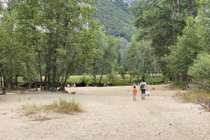 Complete Guide to Yosemite National Park with Kids - Trips With Tykes