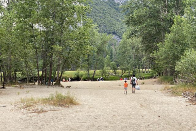 Complete Guide to Yosemite National Park with Kids - Trips With Tykes