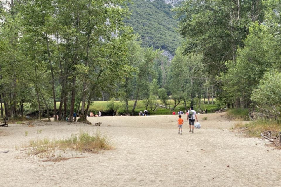 Complete Guide to Yosemite National Park with Kids - Trips With Tykes