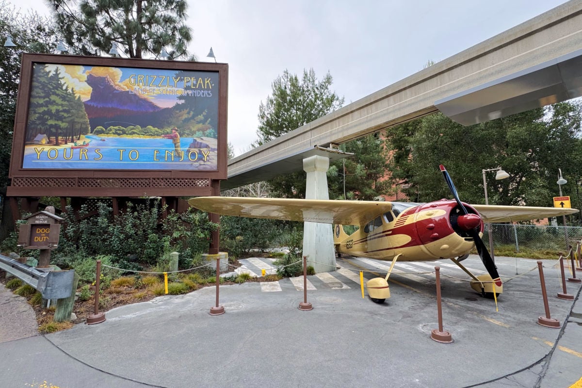 Everything You Need to Know About Flying to Disneyland 2025 - Trips ...