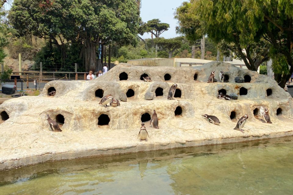 21 Very Best Things to Do in San Francisco with Kids (by a Local Parent ...