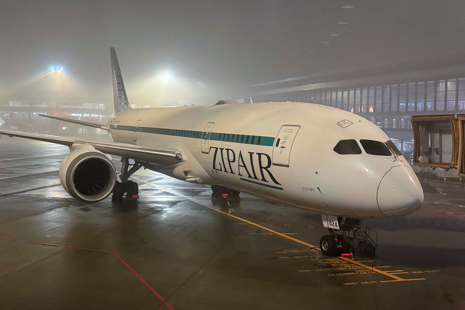 What You Need to Know Before Flying ZIPAIR, Japan's Low Cost Airline - Trips With Tykes