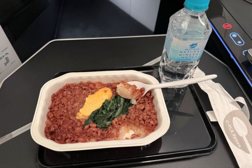 What You Need to Know Before Flying ZIPAIR, Japan's Low Cost Airline ...